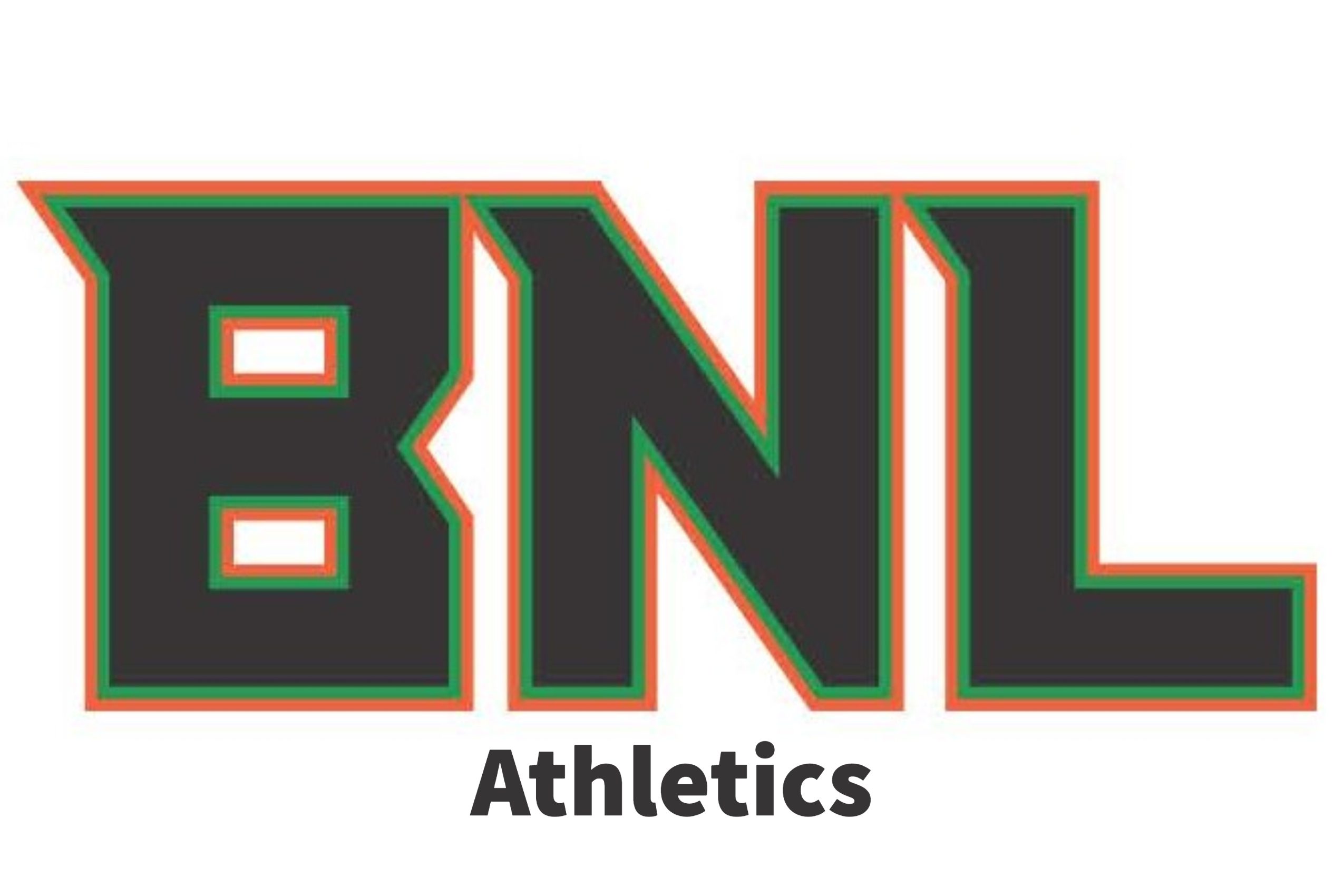 Rifenburg Breaks Volleyball Assists Record | New Lebanon CSD